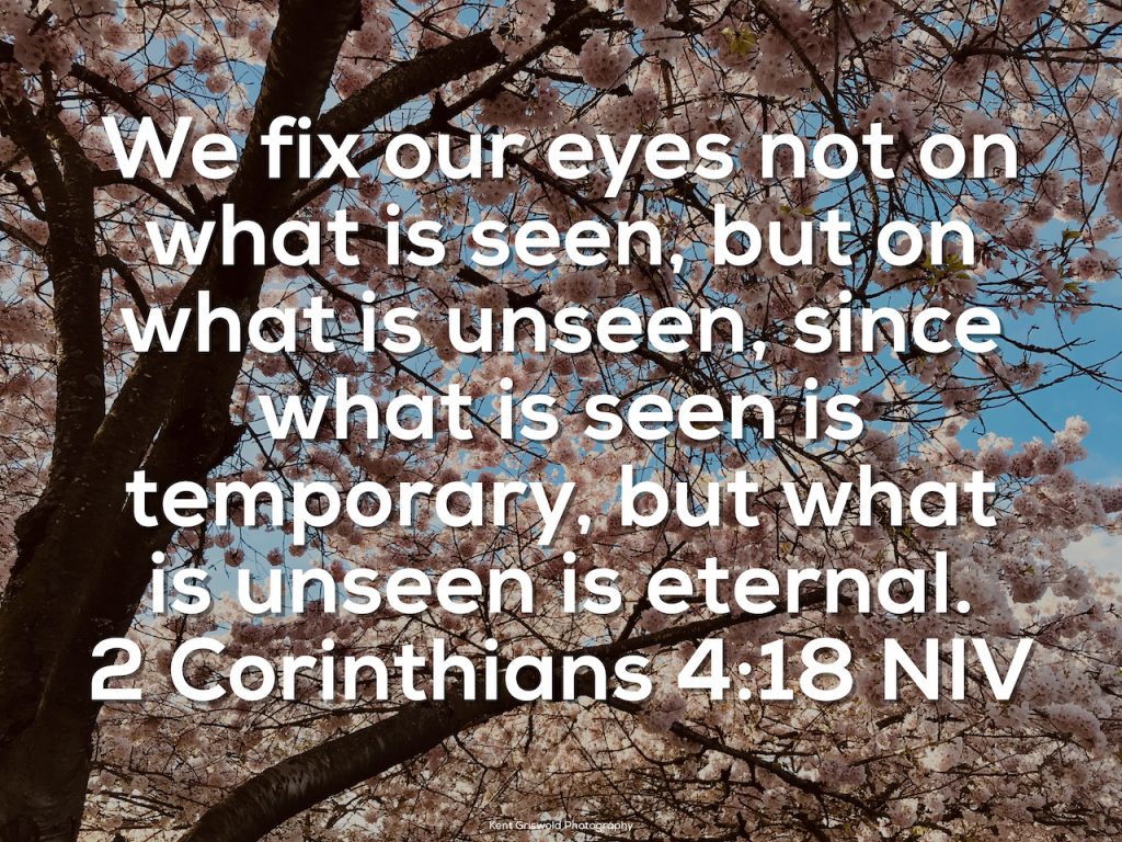 Unseen - Daily Scripture