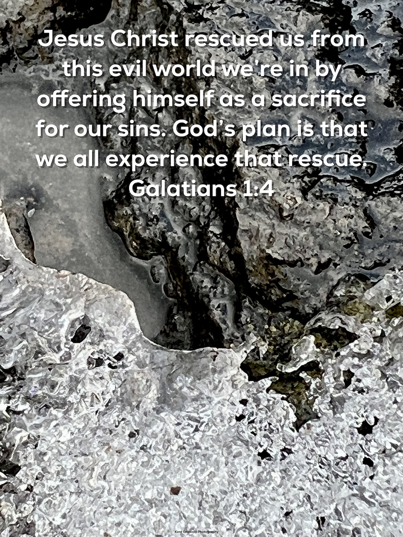 Rescue - Daily Scripture