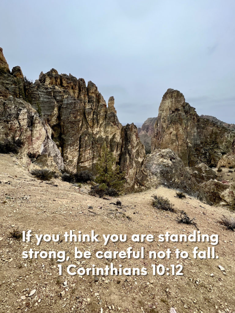 dailyscriptureblog.com