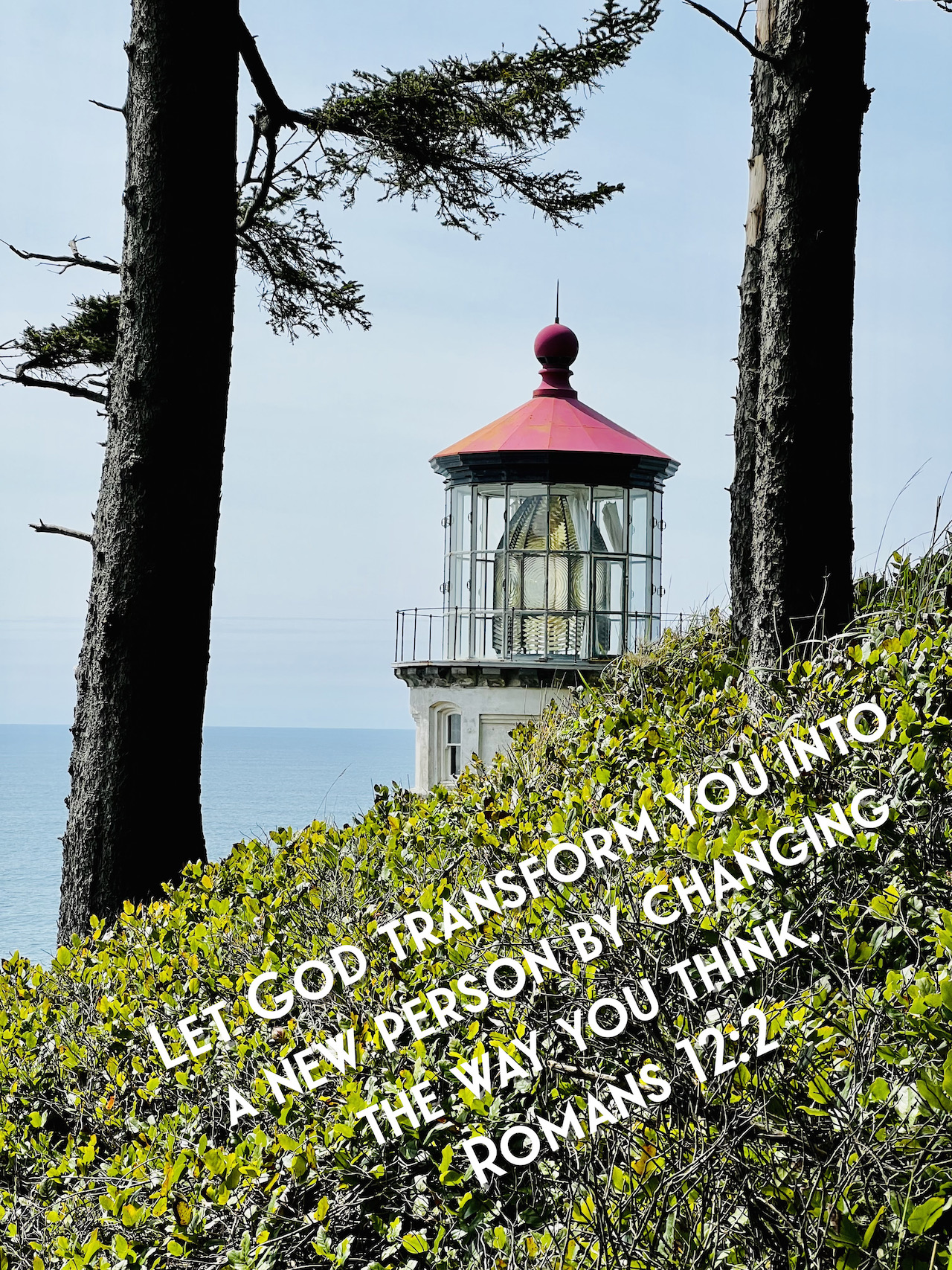 Transform - Daily Scripture