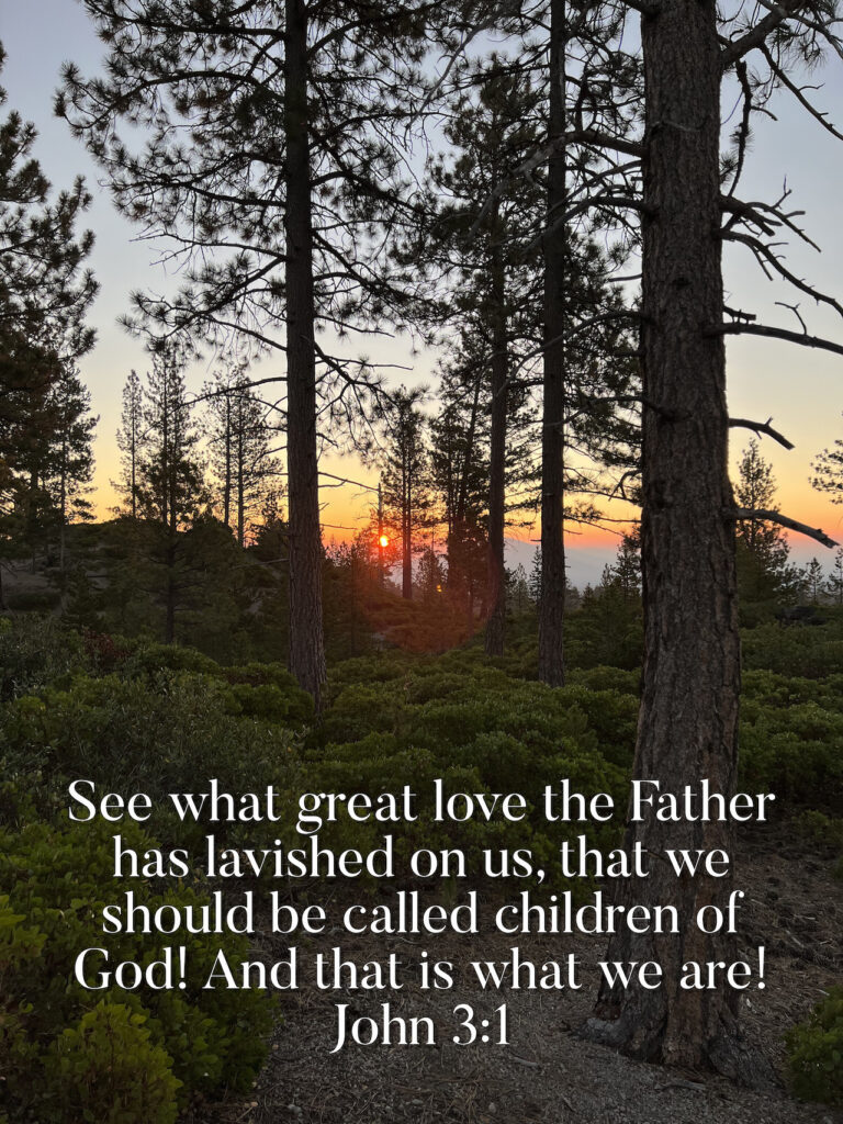 dailyscriptureblog.com