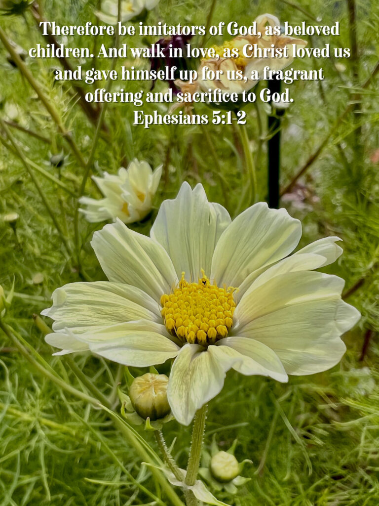 Offering - Daily Scripture