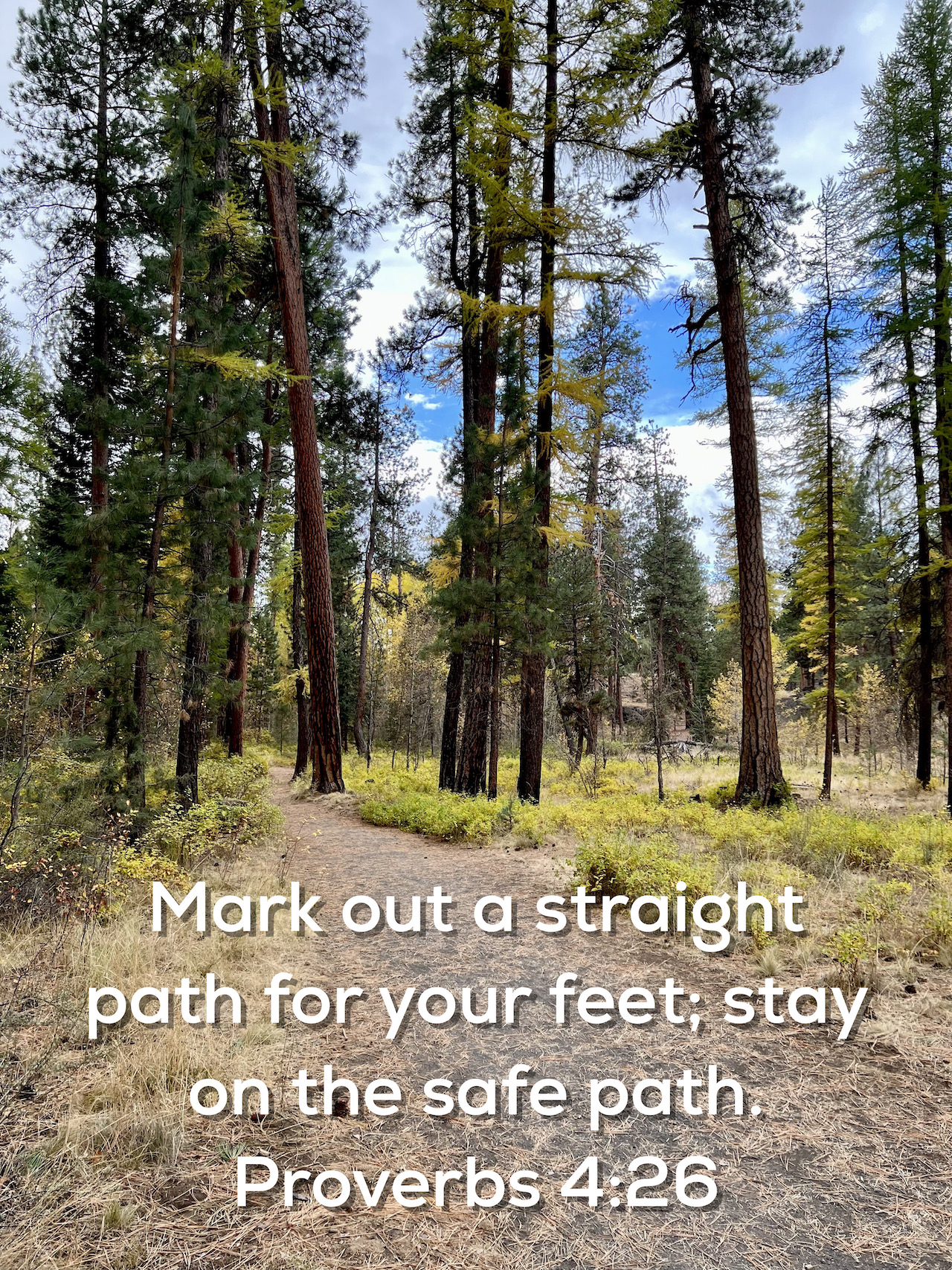Straight Path - Daily Scripture