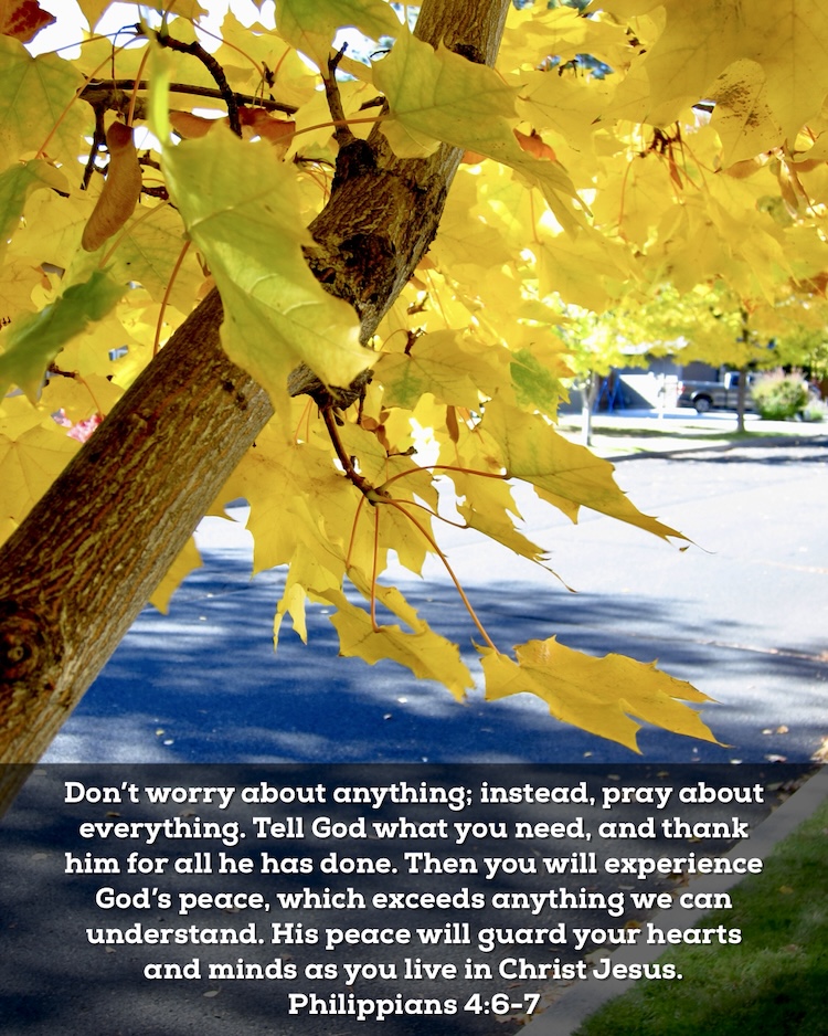 Pray About Everything - Daily Scripture
